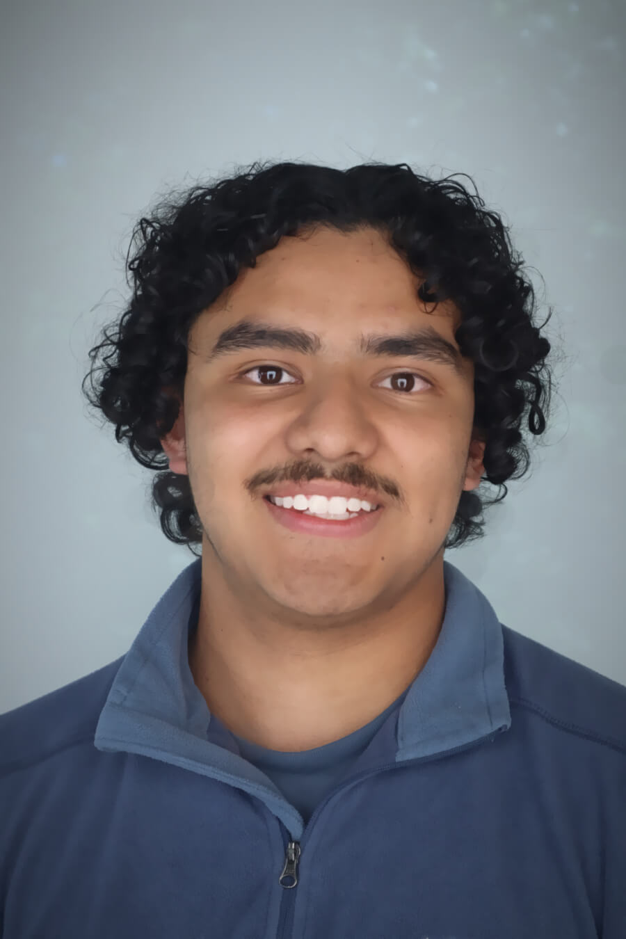 Shinuo Weng | TMML – Tissue Morpho & Mechanics Lab